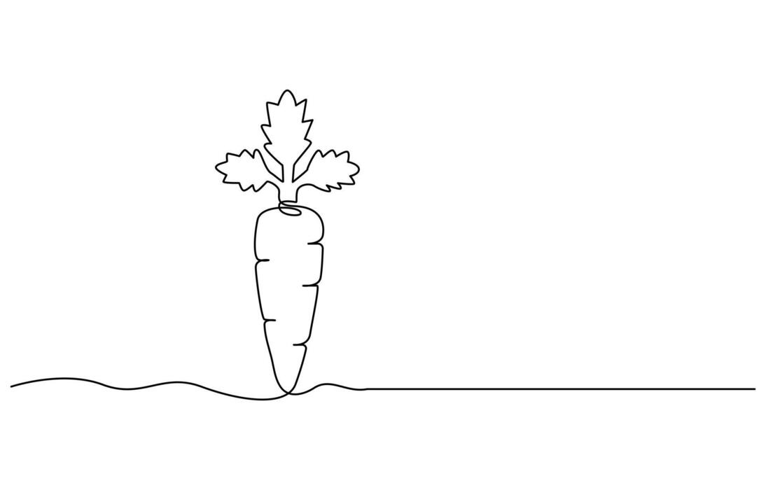 Carrot Line Vector Art, Icons, and Graphics for Free Download