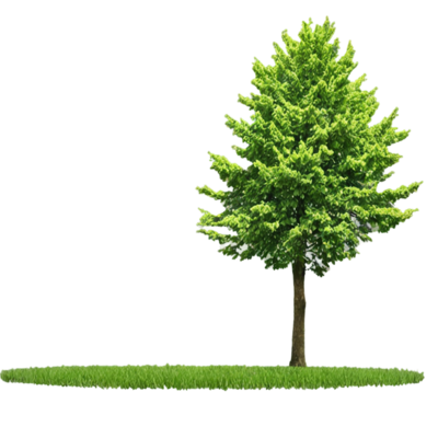 Tree Animation PNGs for Free Download