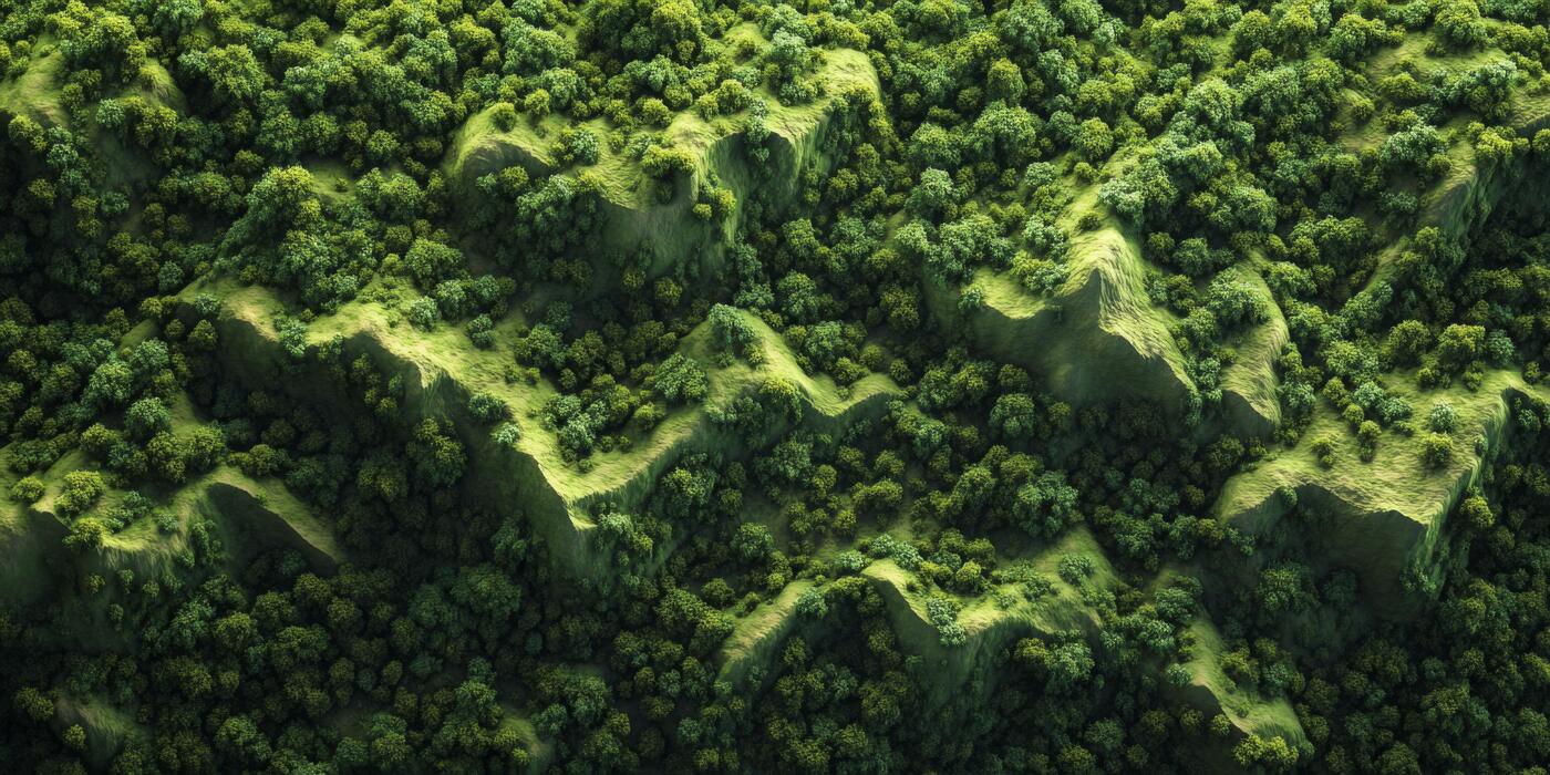 Isometric Forest Background Stock Photos, Images and Backgrounds for Free Download