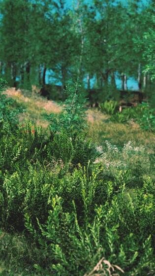 Scenic panoramic view of idyllic rolling hills landscape with blooming ...