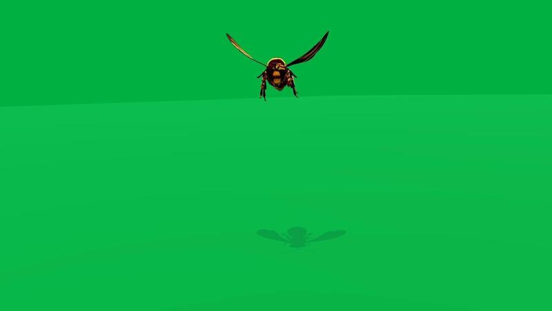 Bee flying animation 53663003 Stock Video at Vecteezy