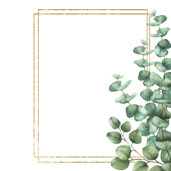 Eucalyptus Leaves Gold PNGs for Free Download