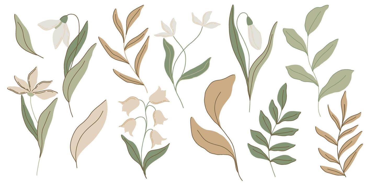 Spring Flowers Vector Art, Icons, and Graphics for Free Download