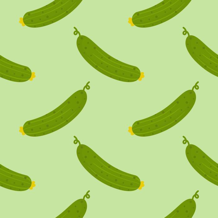 Pickle Pattern Vector Art, Icons, and Graphics for Free Download