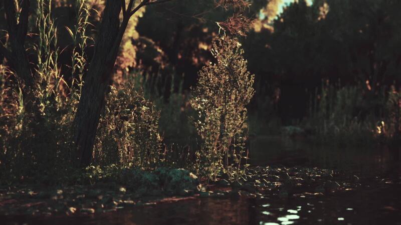 Serene riverside view during golden hour with lush greenery and calm water 54086453 Stock Video ...