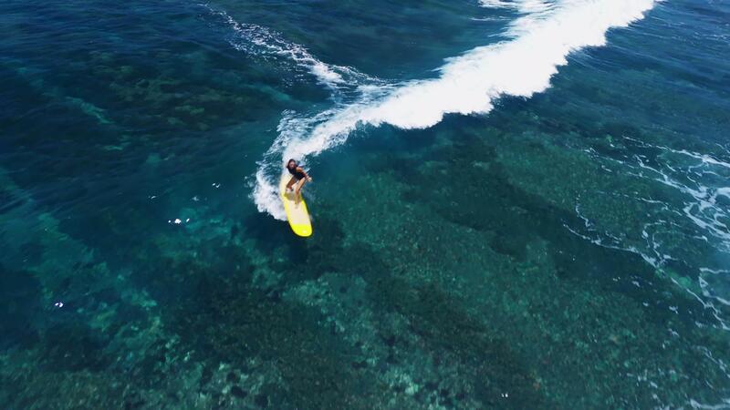 Surfer woman riding on surfboard on ocean wave. Surf girl on longboard ...