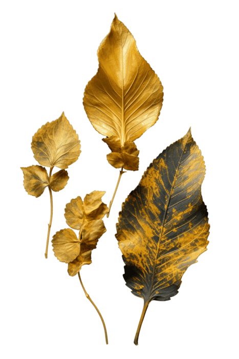Golden Leaves PNGs for Free Download