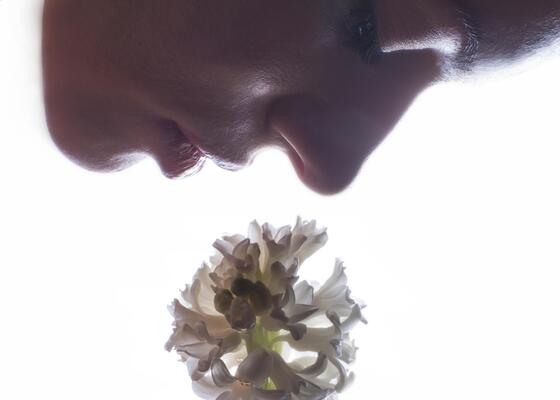 Woman Face Flower Stock Photos, Images and Backgrounds for Free Download Woman Face Flower Stock Photos, Images and Backgrounds for Free Download