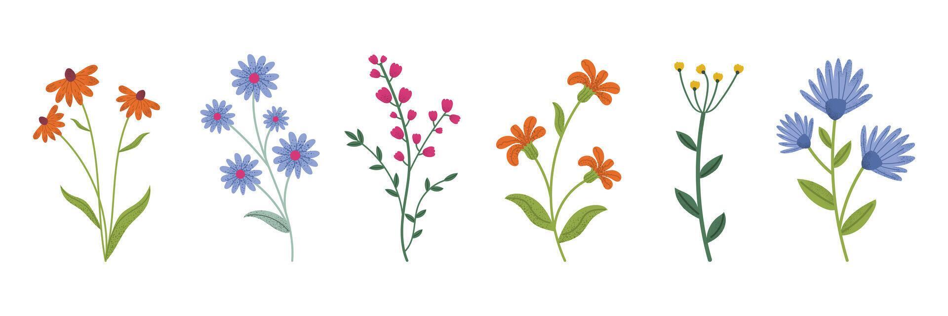 Spring Flowers Vector Art, Icons, and Graphics for Free Download