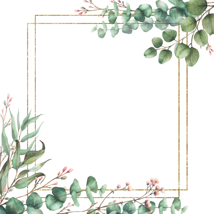 Eucalyptus Leaves Gold PNGs for Free Download