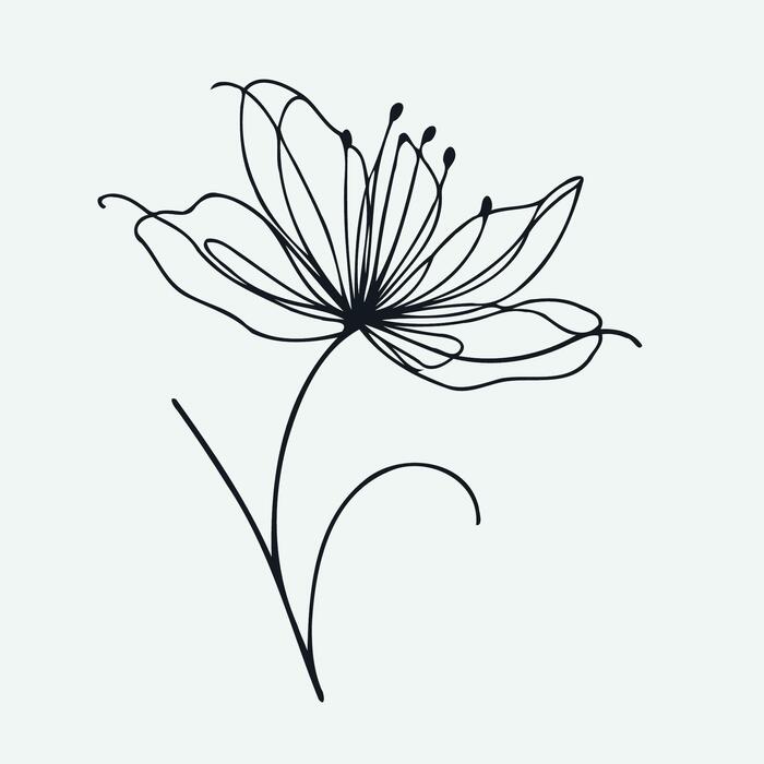 Black Line Flower Vector Art, Icons, and Graphics for Free Download
