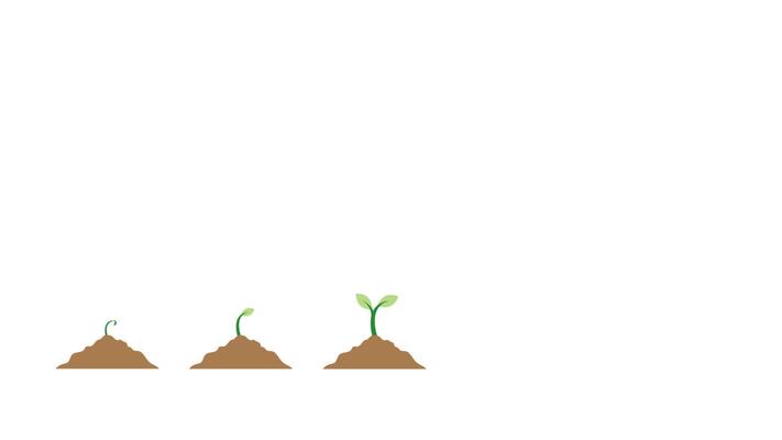 Growing Tree Animation Stock Video Footage for Free Download