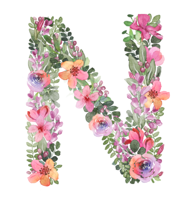 Page 2 | Letter N PNGs for Free Download