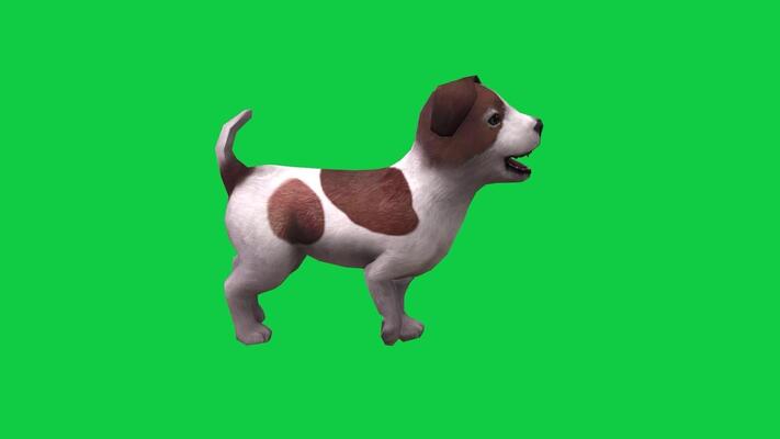 Dog Animation Stock Video Footage for Free Download