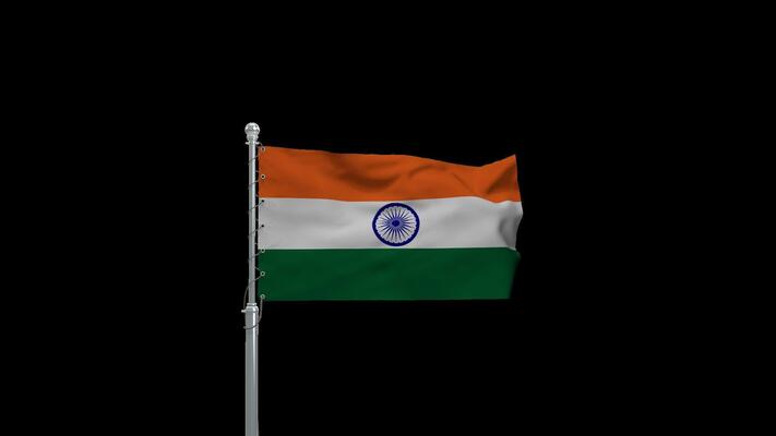Indian Flag Gif Stock Video Footage for Free Download