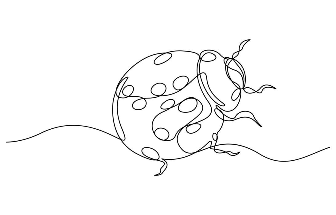 Ladybug Outline Vector Art, Icons, and Graphics for Free Download