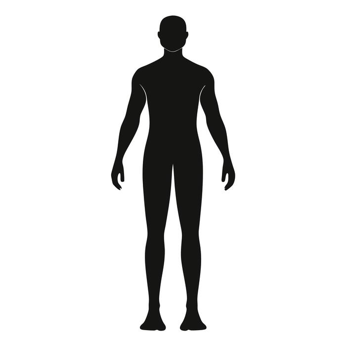 Human Body Outline Vector Art, Icons, and Graphics for Free Download