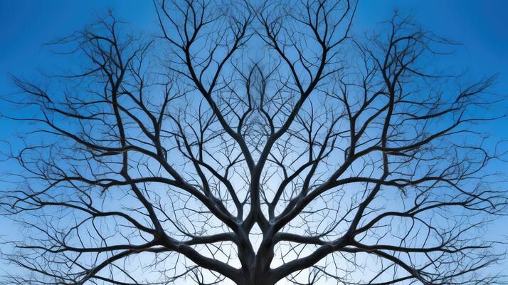 Decision Tree Structure Stock Photos, Images and Backgrounds for Free ...
