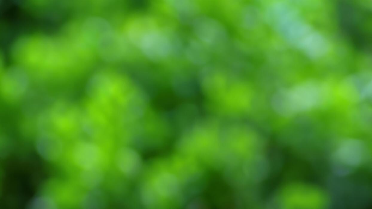 Fresh Green Background Stock Photos, Images and Backgrounds for Free ...