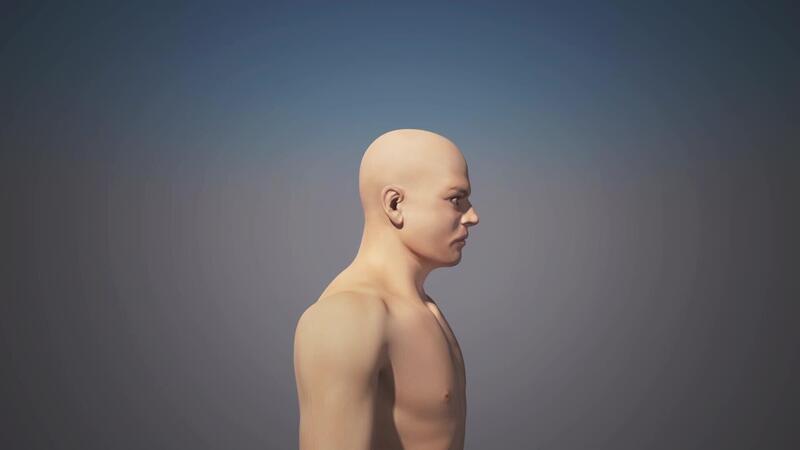 Human body rendering, waist up. 57053700 Stock Video at Vecteezy