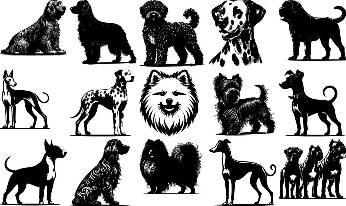 Canine Breed Vector Art, Icons, and Graphics for Free Download