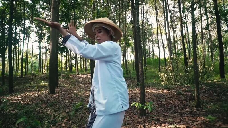 Blue Bokep China Stock Video Footage for Free Download