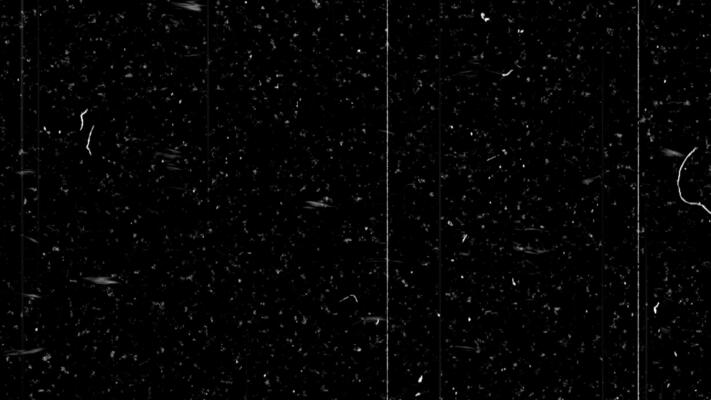 Cinematic Black Bars Stock Video Footage for Free Download