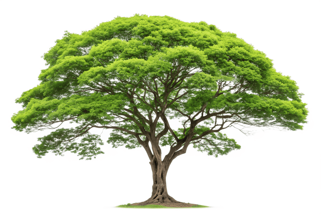Animated Tree PNGs for Free Download