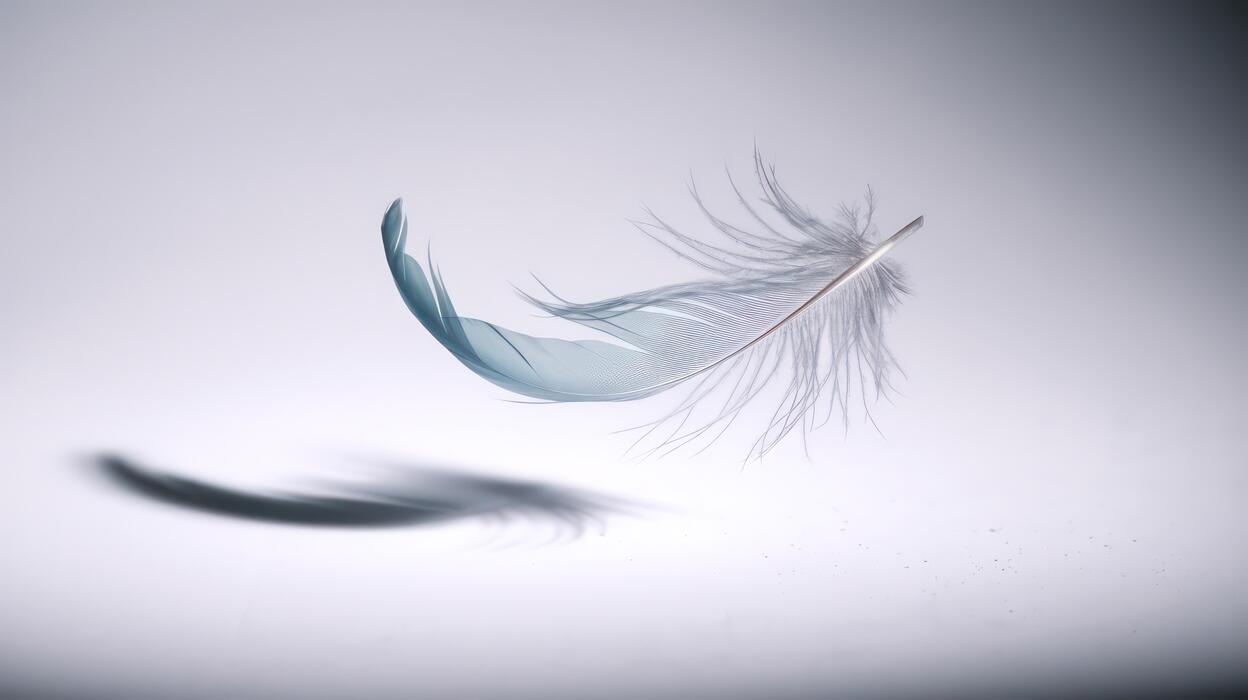 Curved Feather Stock Photos, Images and Backgrounds for Free Download