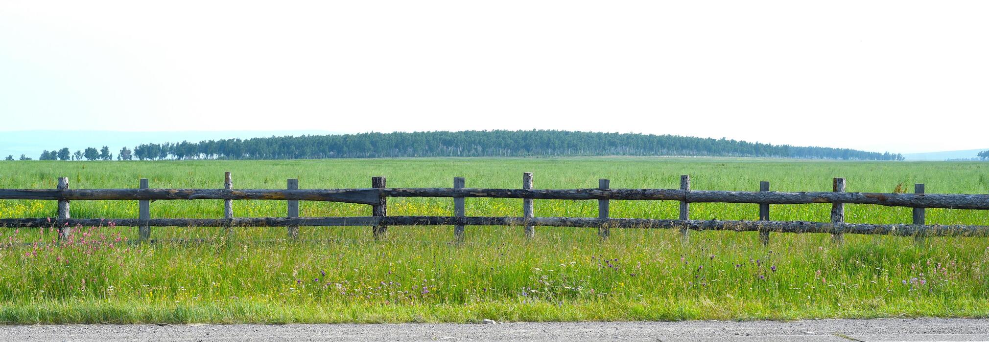 Environment Border Stock Photos, Images and Backgrounds for Free Download