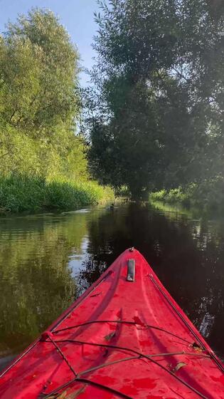 Kayak floating down the river through tree branches, ducks floating on ...