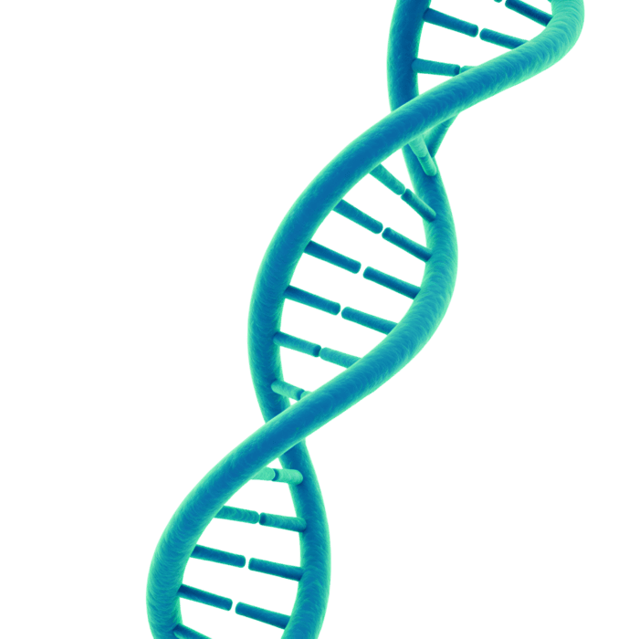 Dna Animation PNGs for Free Download