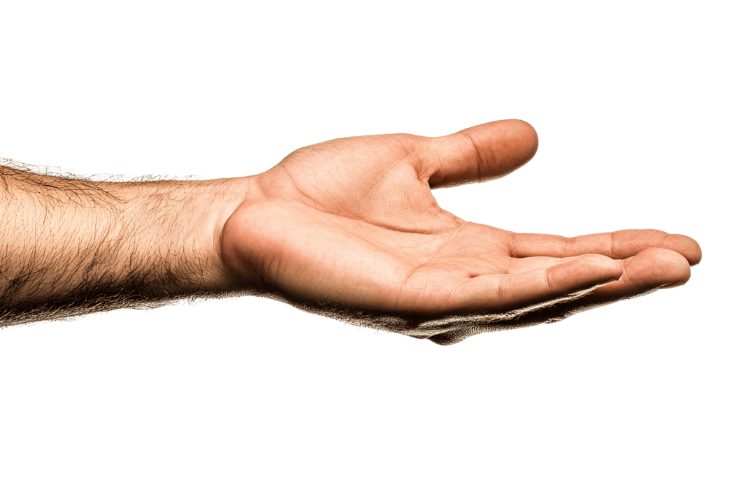 Open Palm PNGs for Free Download