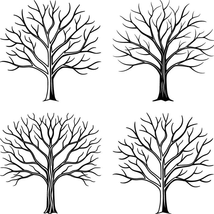 Tree Line Drawing Vector Art, Icons, and Graphics for Free Download