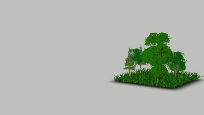 Growing Tree Animation Stock Video Footage for Free Download