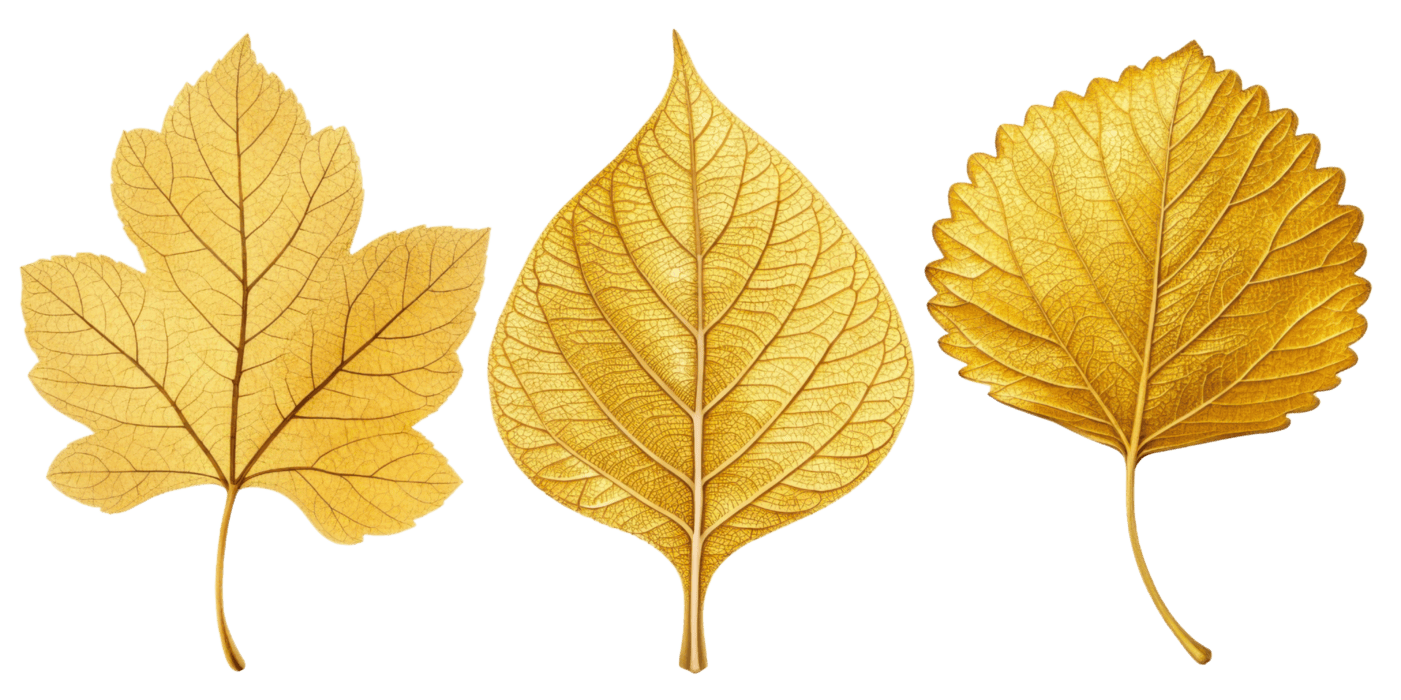 Golden Leaves PNGs for Free Download
