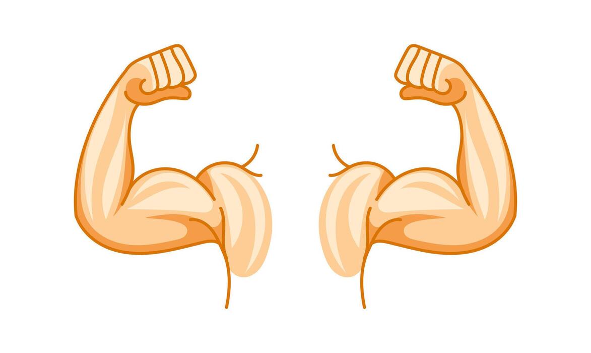 Muscle Arm Vector Art, Icons, and Graphics for Free Download