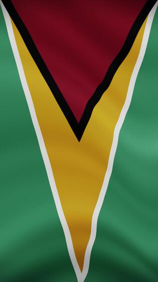 Guyana Waving Flag in Vertical Orientation. Realistic Flag Animation. Seamless Loop Background ...