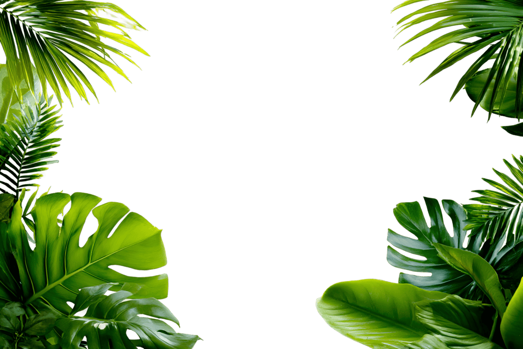 Page 3 | Transparent Overlays PNGs for Free Download