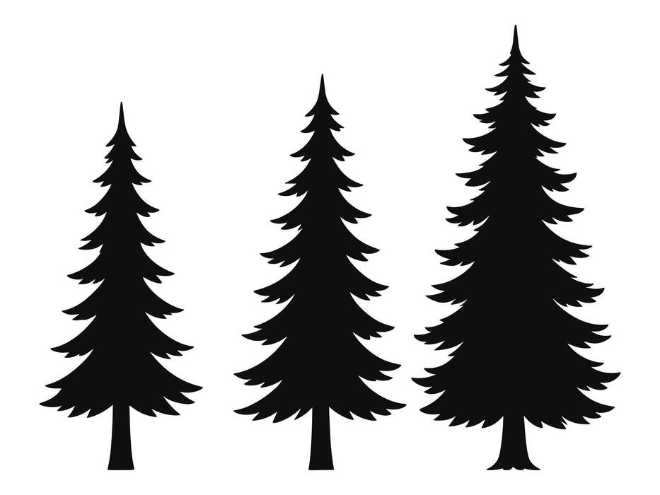 3 Pine Trees Vector Art, Icons, and Graphics for Free Download