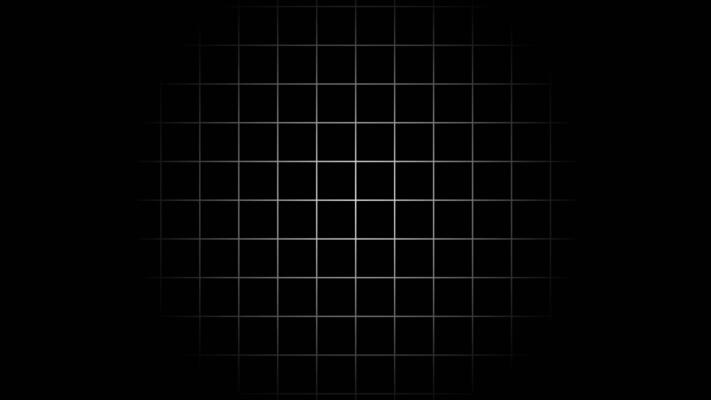 Grid Animation Stock Video Footage for Free Download