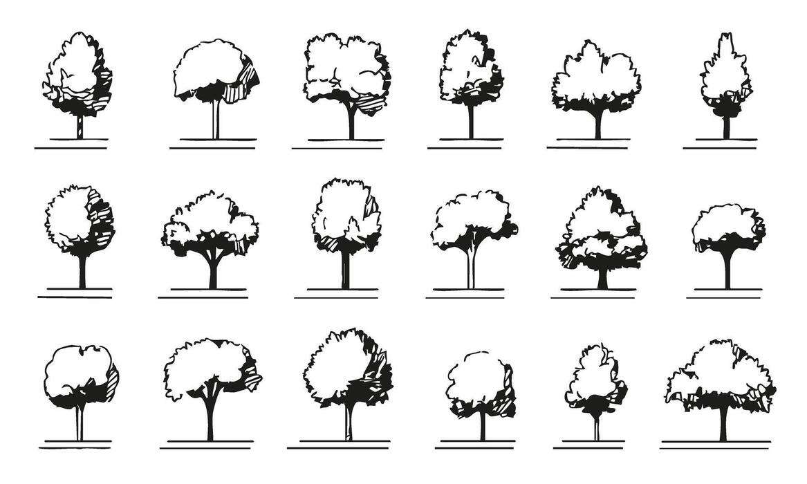 Architectural Tree Plan Vector Art, Icons, and Graphics for Free Download