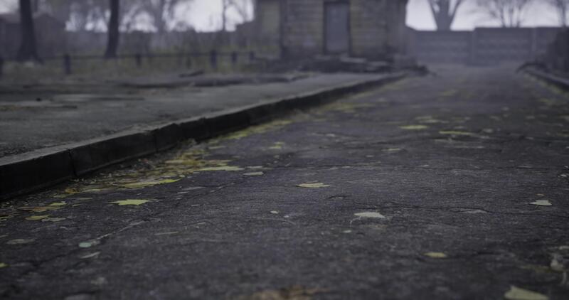 CGI Pathway with fallen leaves in a misty, abandoned setting during ...