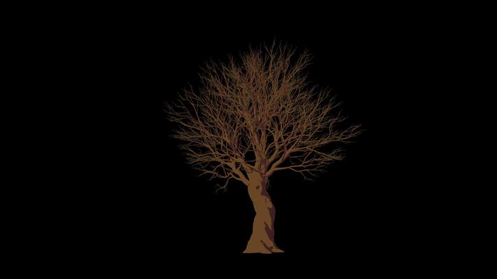 Growing Tree Animation Stock Video Footage for Free Download