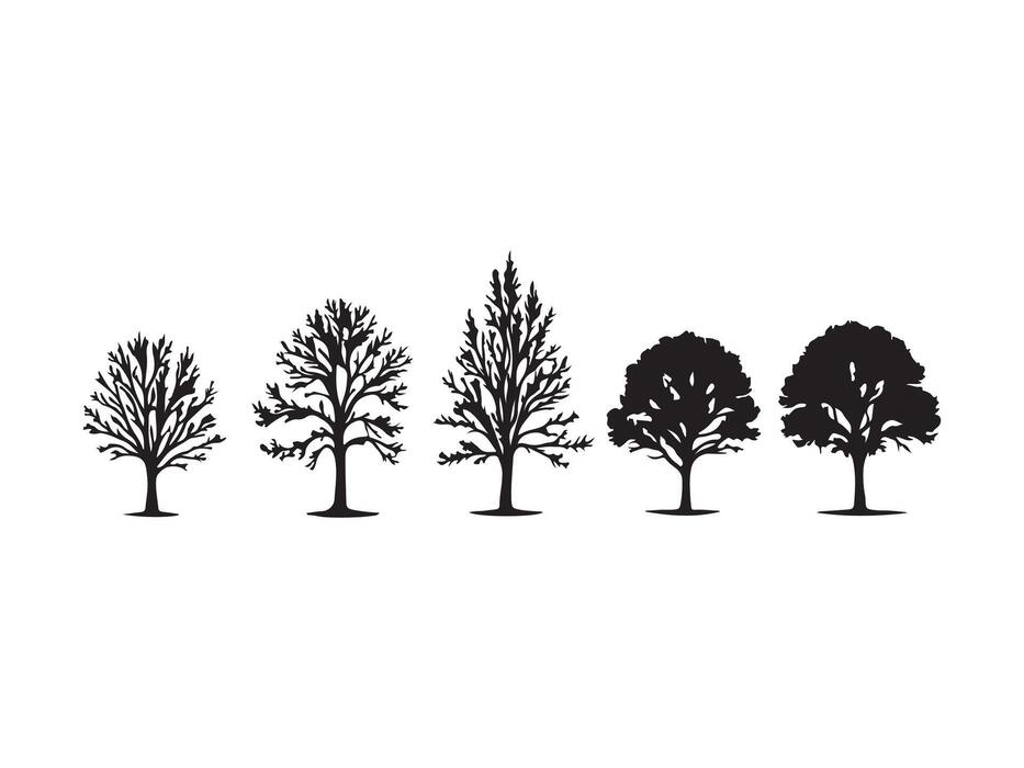 Architectural Tree Elevation Vector Art, Icons, and Graphics for Free ...