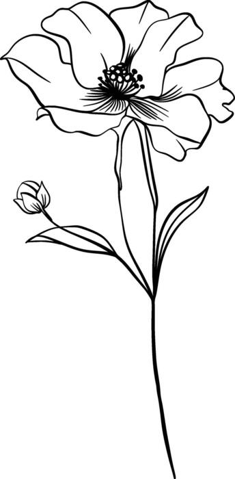 Black Line Flower Vector Art, Icons, and Graphics for Free Download