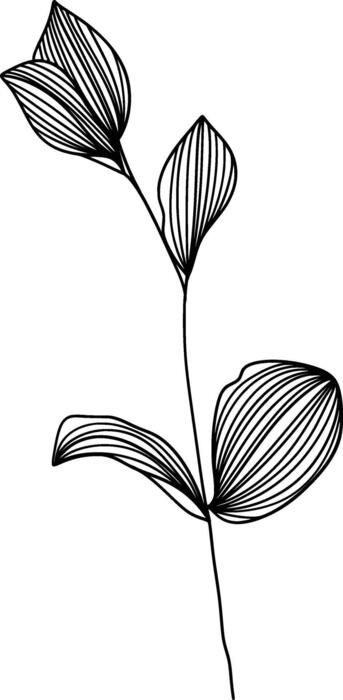 Black Line Flower Vector Art, Icons, and Graphics for Free Download