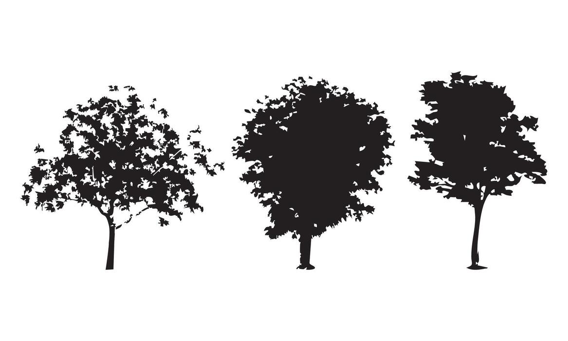 Tree Shadow Vector Art, Icons, and Graphics for Free Download
