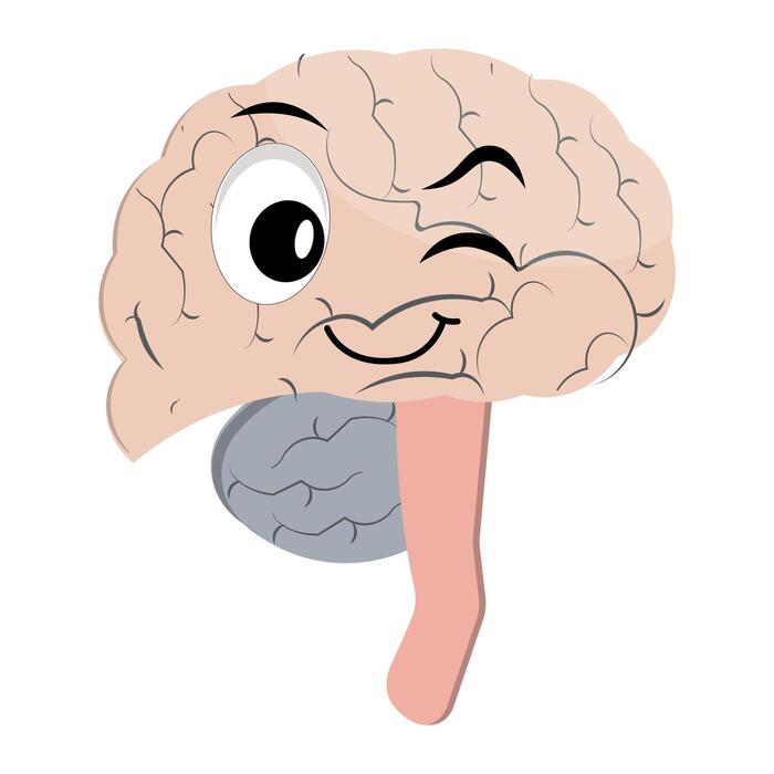 Brain Amygdala Vector Art, Icons, and Graphics for Free Download