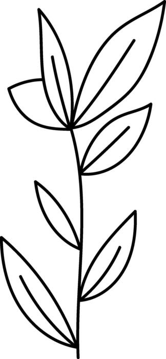 Black Line Flower Vector Art, Icons, and Graphics for Free Download